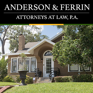 Victoria Lyn Anderson | Anderson & Ferrin, Attorneys at Law, P.A.